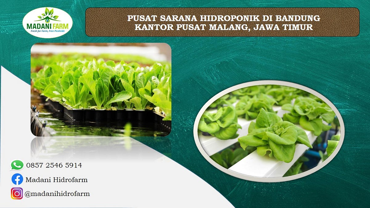 Grosir!!! hp/wa 0857254465914 pusat hidroponik Bandung | by Vitri ...