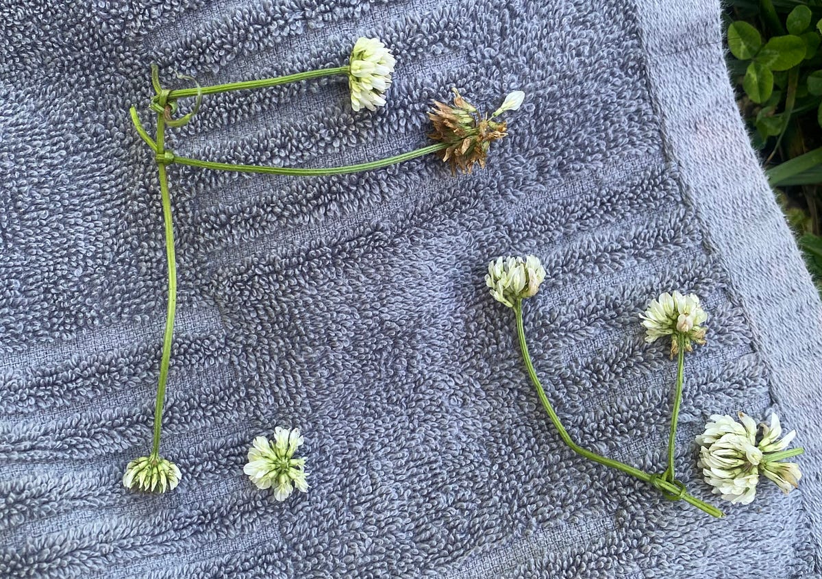 My Fault I Know I Have Insecuritiesi Know My By Baconbits Medium