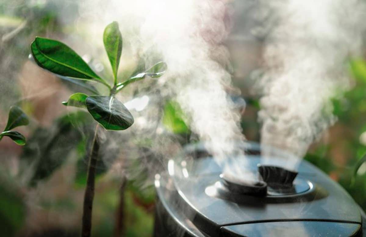 Best Humidifiers for Grow Tent. Being a glad indoor landscaper feels ...