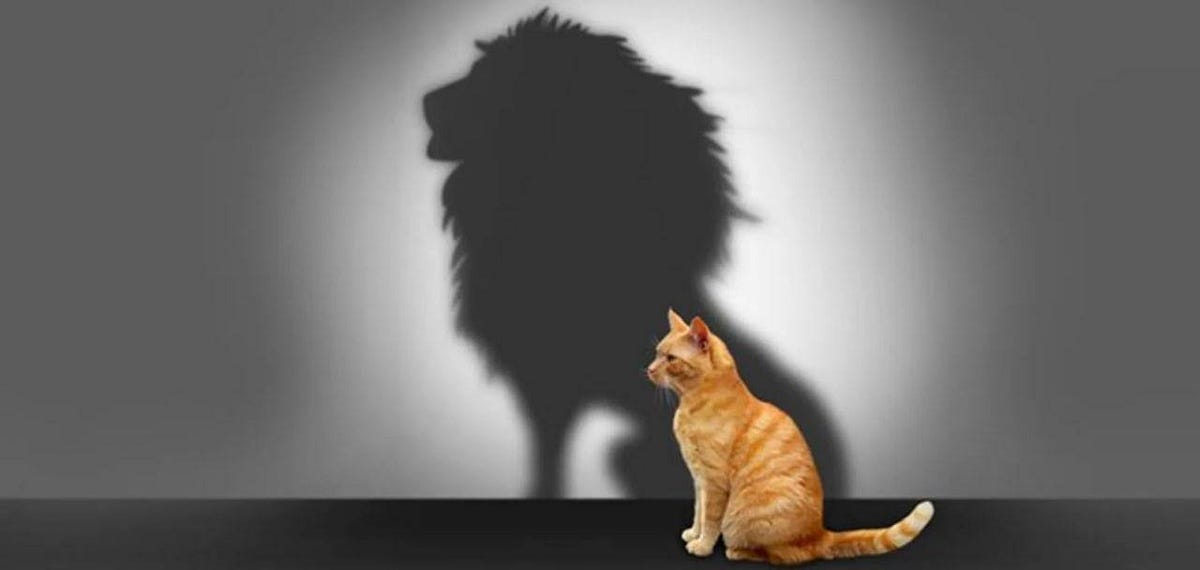 Boosting self-esteem - Saqeeb - Medium