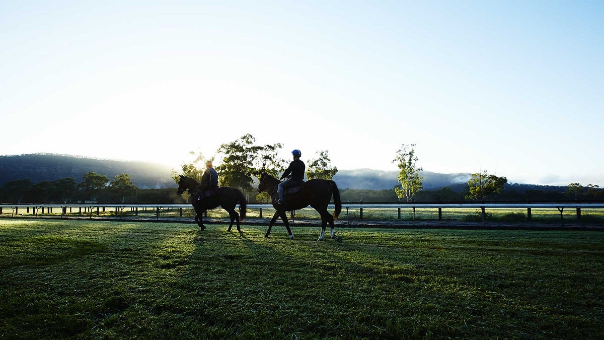 Muskoka Farm Horse Training NSW. Muskoka Farm, located in Gunderman NSW ...