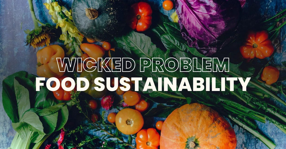 Case Study: Wicked Problem — Food Sustainability | by Lara Plumbohm ...