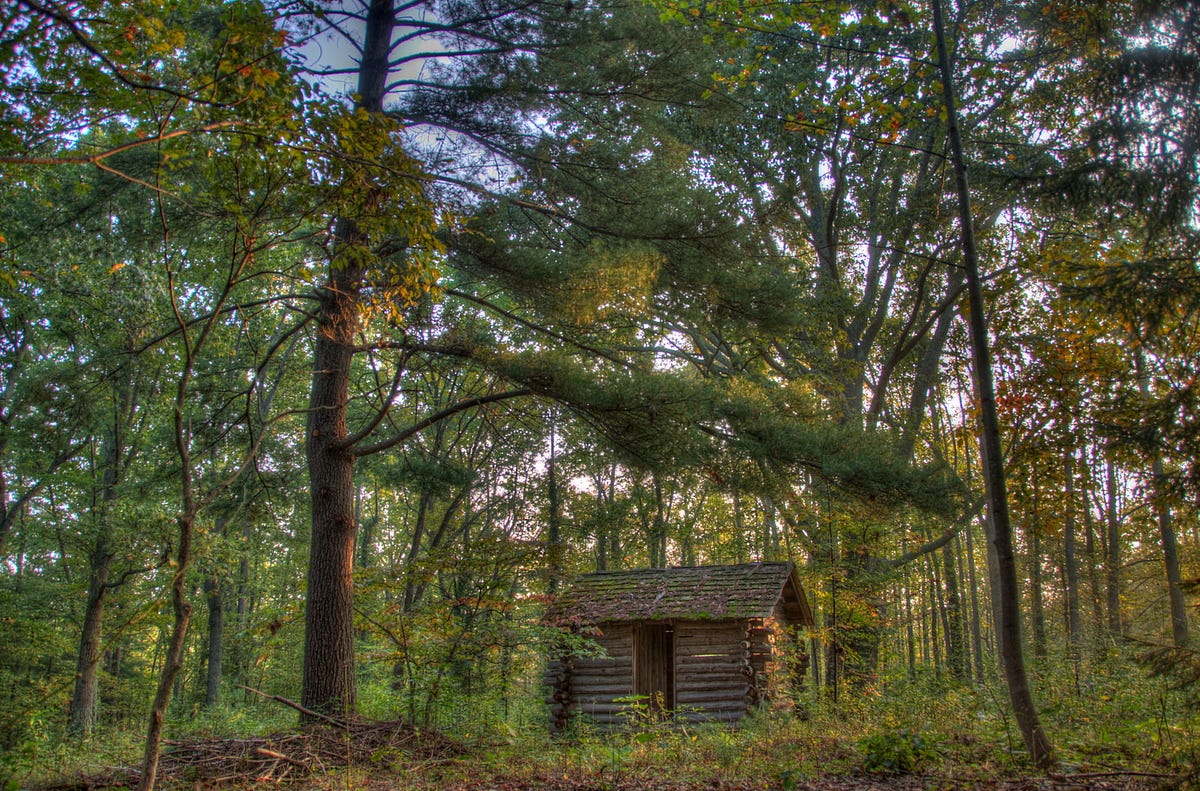 A Cabin Alone in the Woods. Why it’s human nature to want an… | by ...