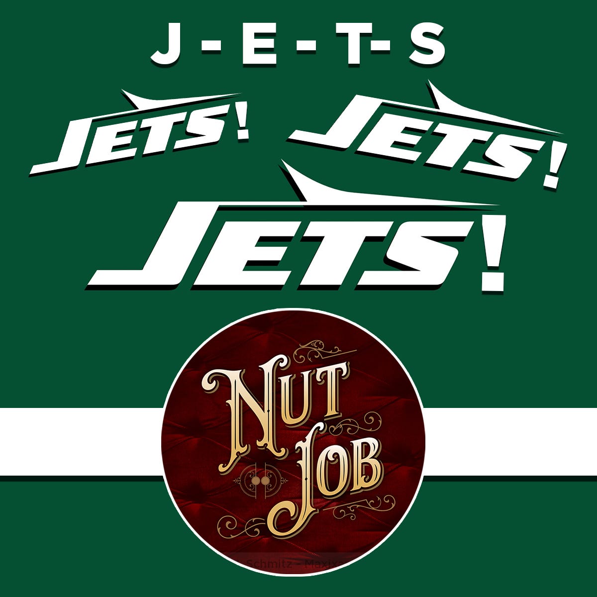 J-E-T-S Jets! Jets! Jets!. (This is a chapter from my new book NUT… | by A.J. Schmitz | Medium