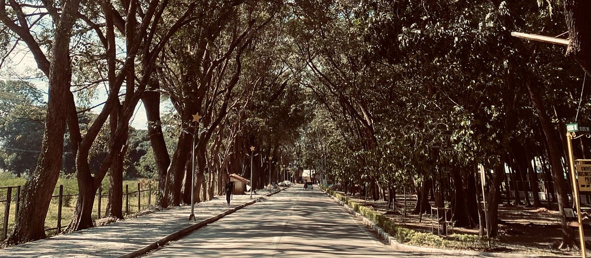 Detours - Vincent Garcia - Medium