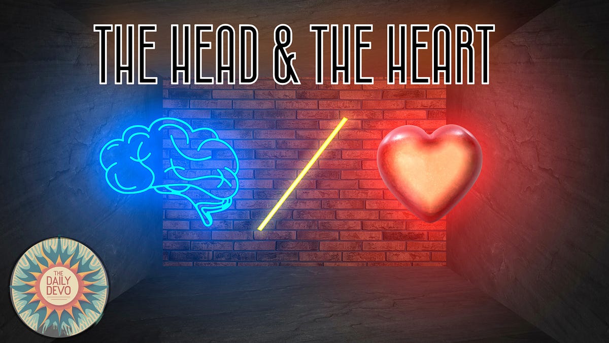 The Head And The Heart The Phrase “use Your Head ” Is One That… By
