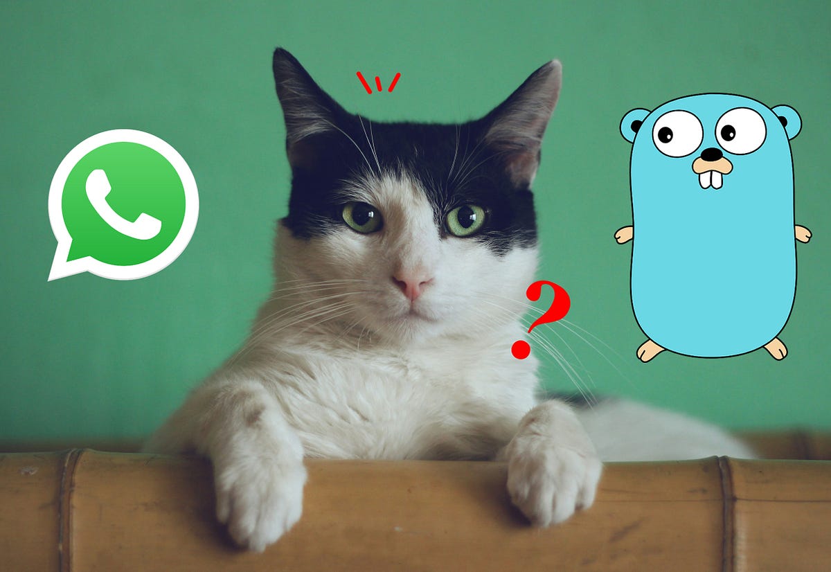 How to Send WhatsApp Messages Using Go: Building a Seamless Client with whatsmeow | by ...