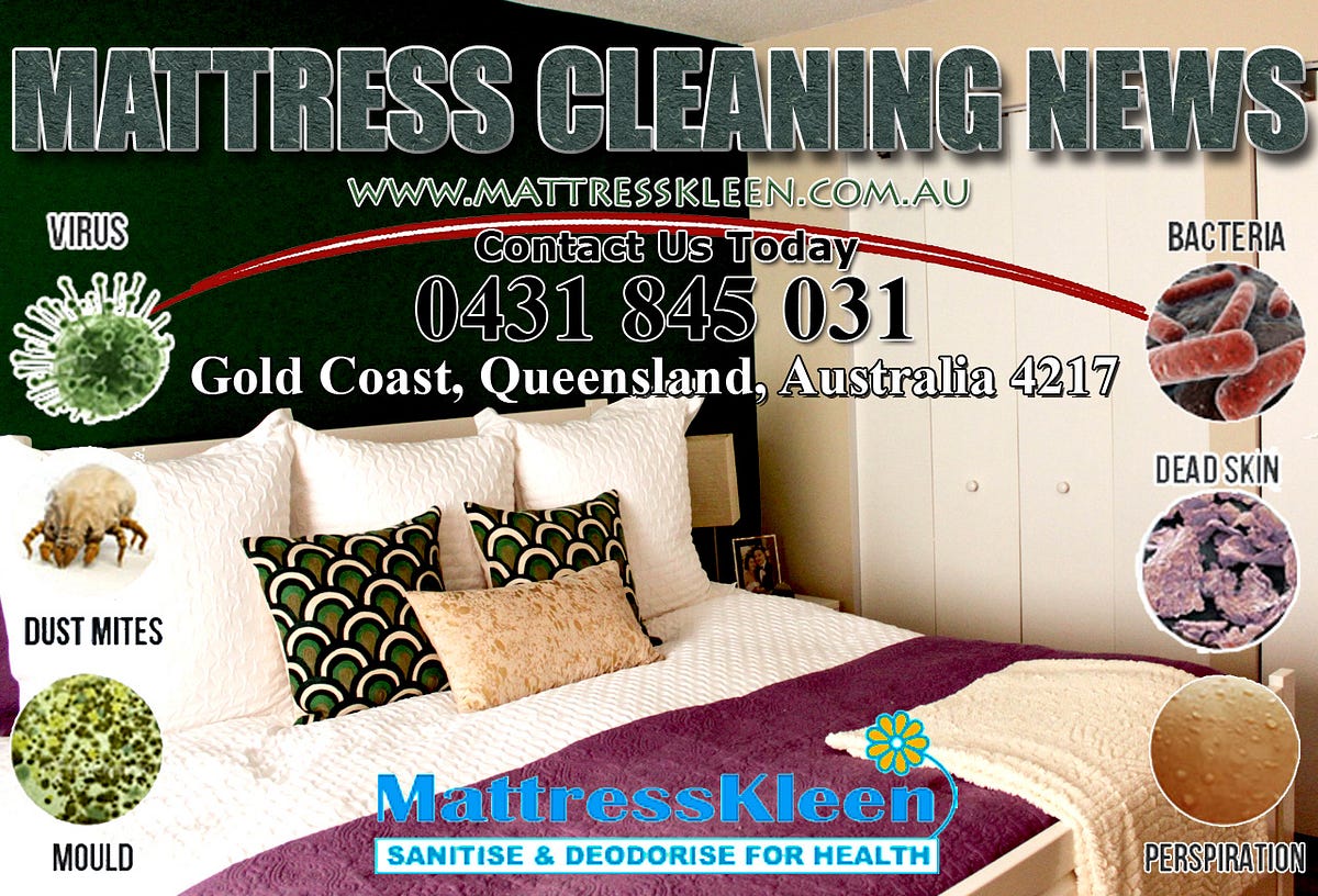 When Dust Mites Sends You Running for Professional Services | by ...