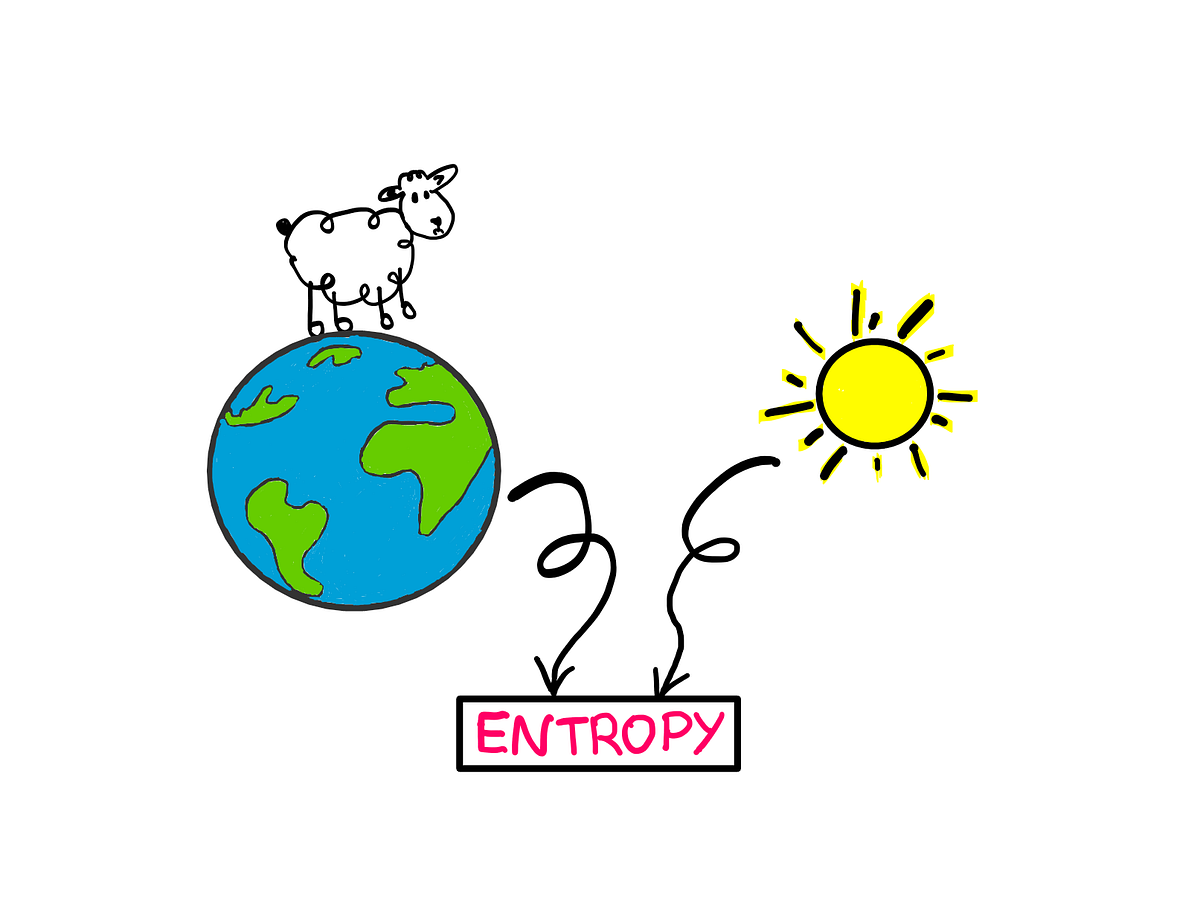 The Relationship Between Life, Stars, and Entropy | by Hemanth | Street ...