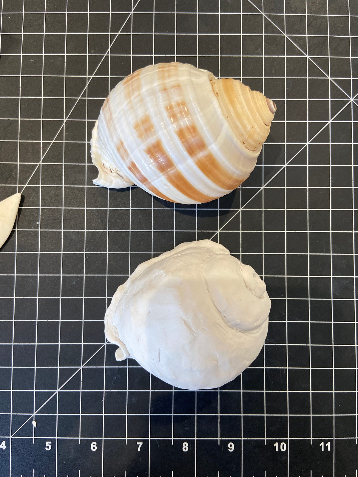 Shell and Mouse. Shell model 1 — clay | by Veronica Michaels | Medium