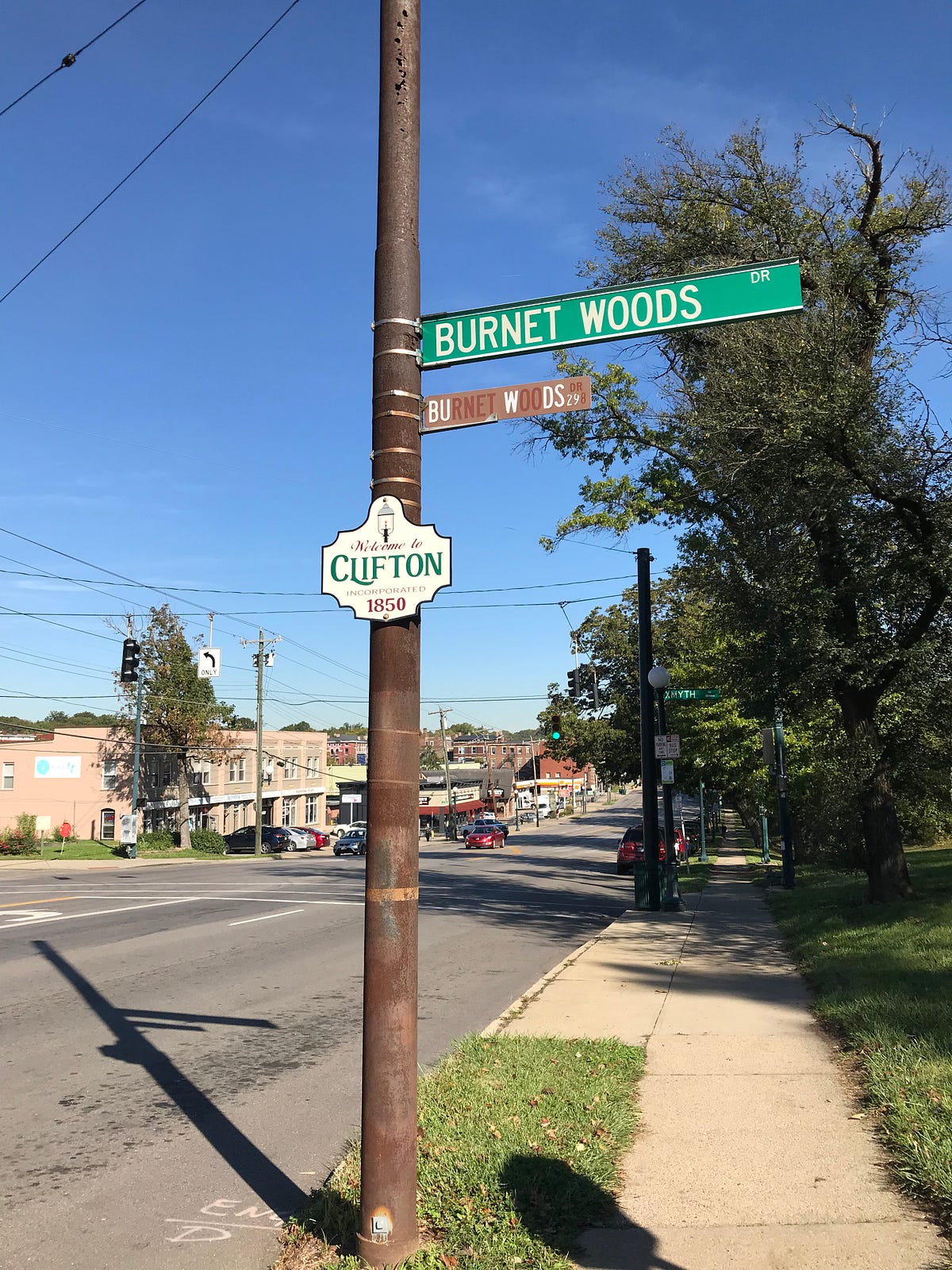 Better Hiking in Burnet Woods. By: Morgan Beatty, Halie Bryer, Ryan ...