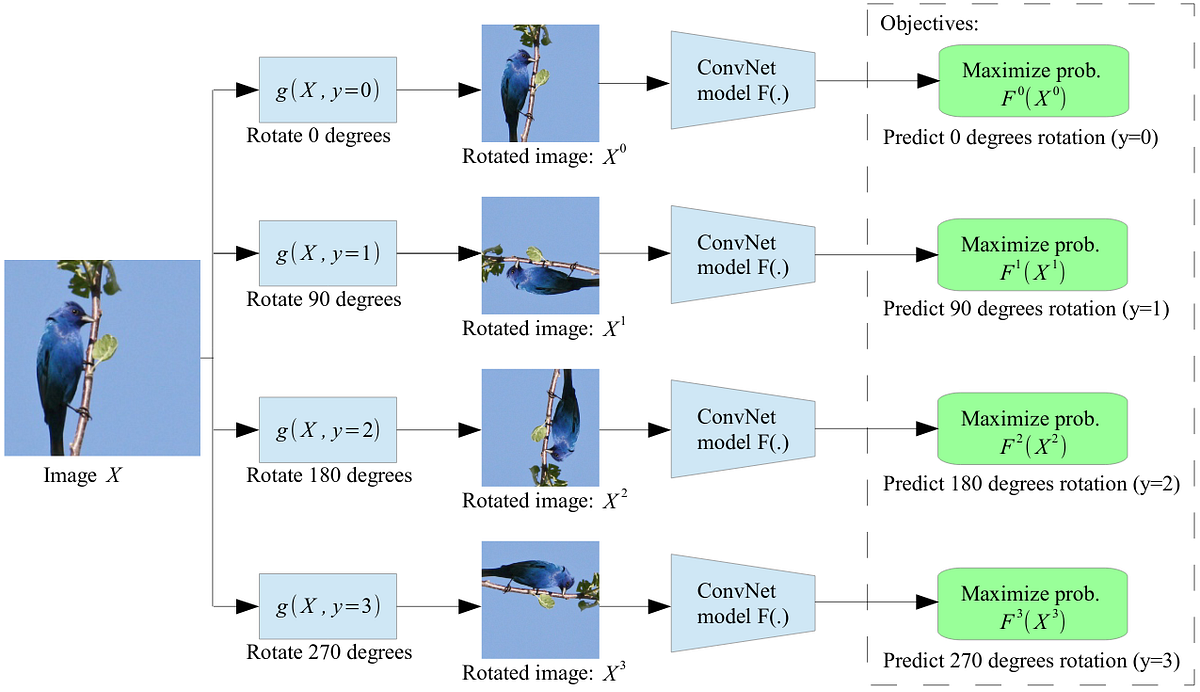 Should you even bother with pre-trained vision models? | by Michał Sokólski | ResponsibleML | Medium