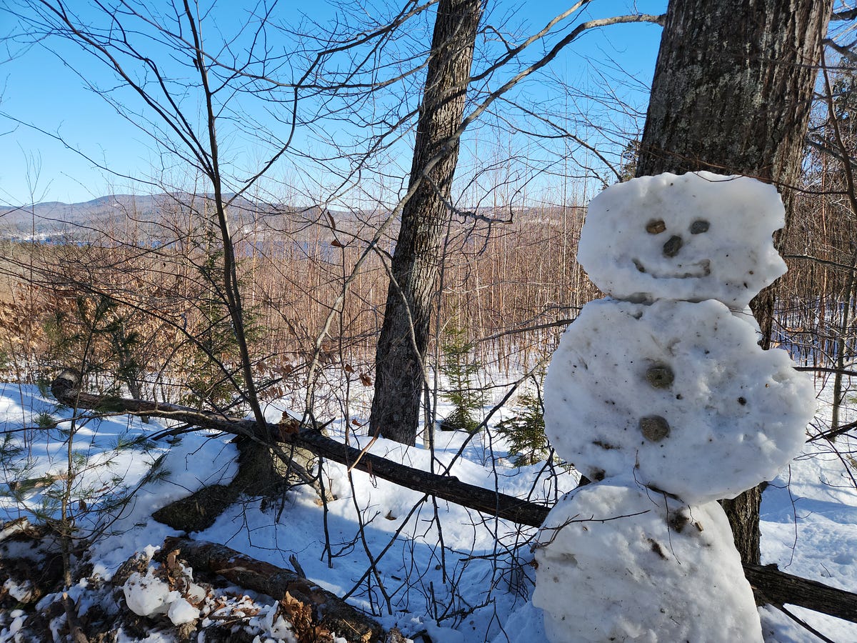 Winter in New England: Extreme Weather and Climate Update, With ...