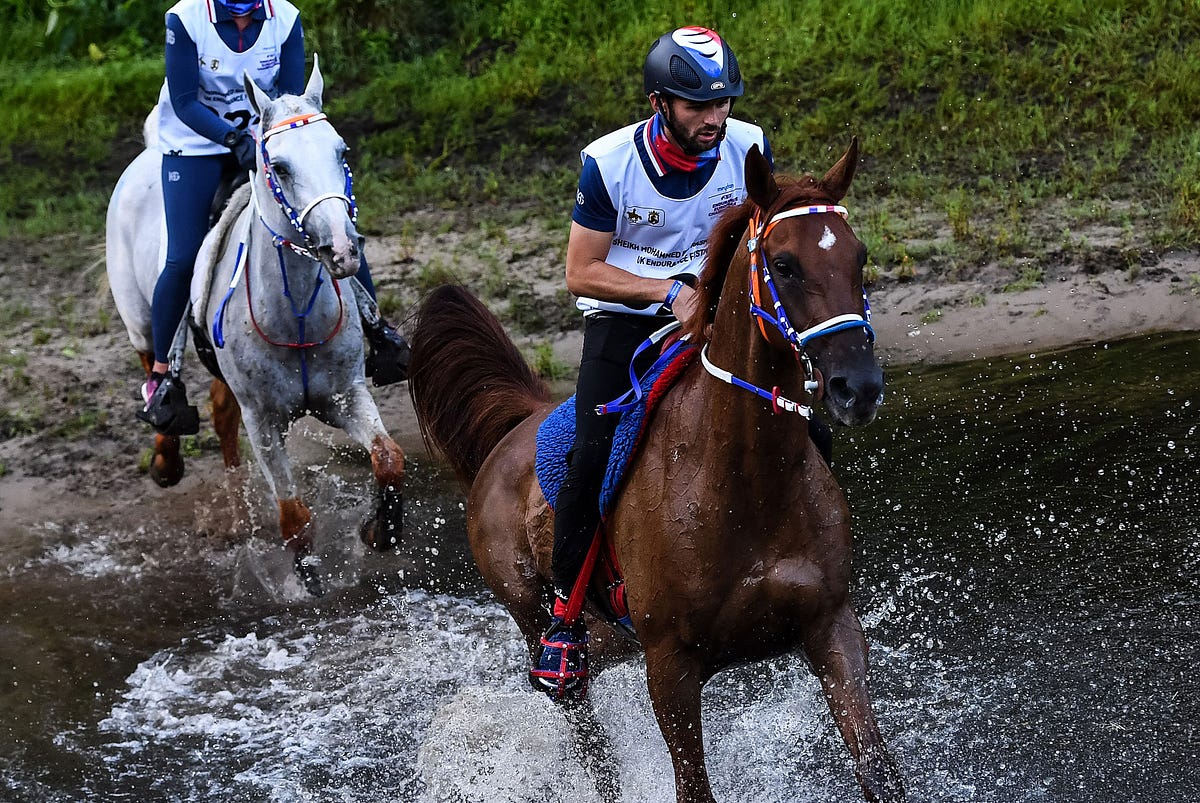 WHAT IS ENDURANCE HORSE RACING?. ENDURANCE RACING is the fastest ...