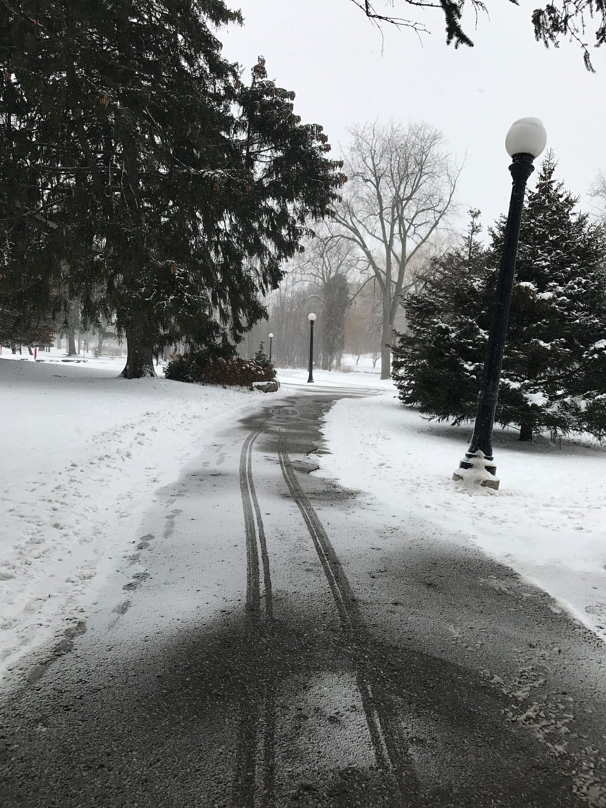 Courage to Remain Still. a poem. | by The Little History | Medium