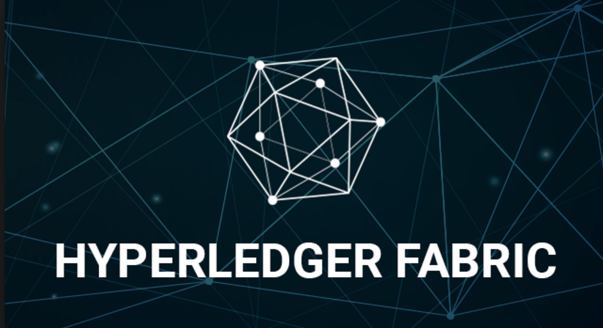 Adding a new Orderer Organization to an existing Hyperledger Fabric network | Medium