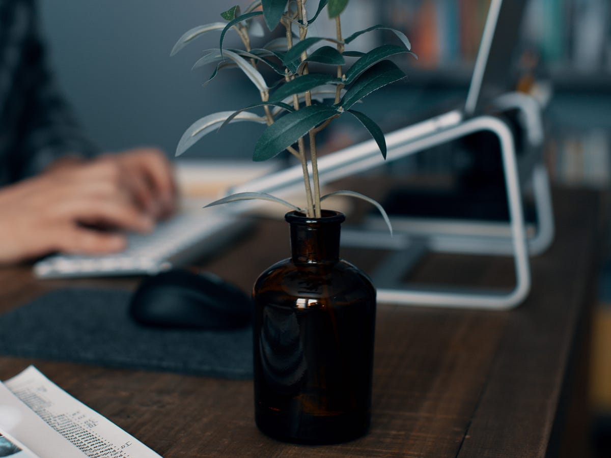 A Day In the Life of a Literary Agent | by Alexander Field | Medium