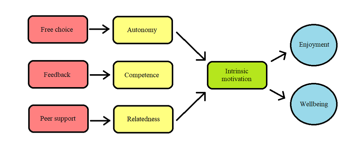Fostering intrinsic motivation — Motivation miniseries Part 2 | by ...