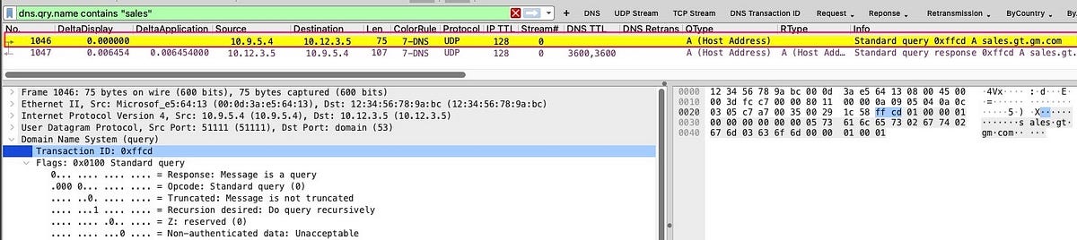 Deeper Divedns Query And Response With Wireshark And Tcpdump With Hex Offsets By Packetnaut