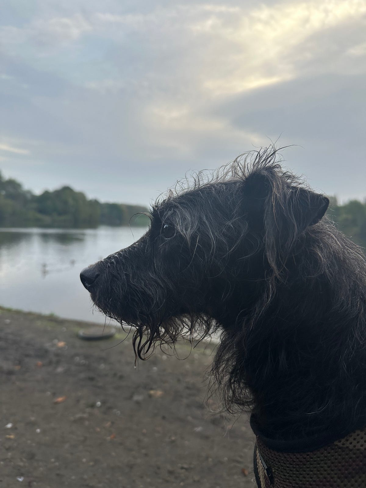 Let go . - Jack - Medium