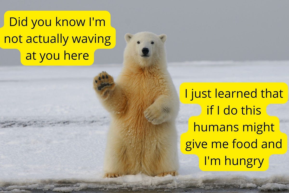 34 Fascinating Facts About Nature That You Probably Didn’t Know | by ...