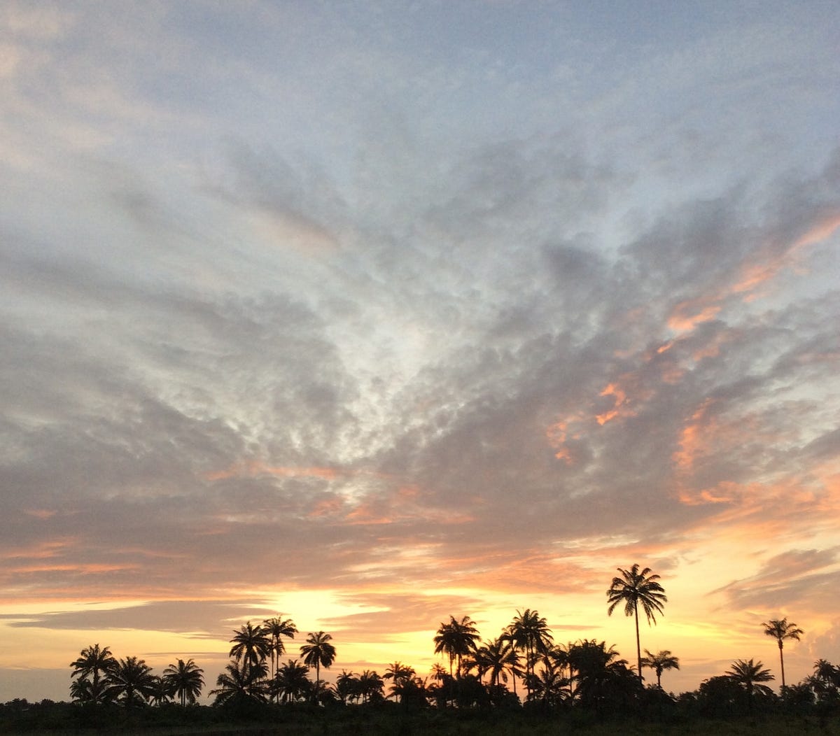 AYÉ (LIFE). They say you never understand the sound… | by Dorathy Osakwe | Medium
