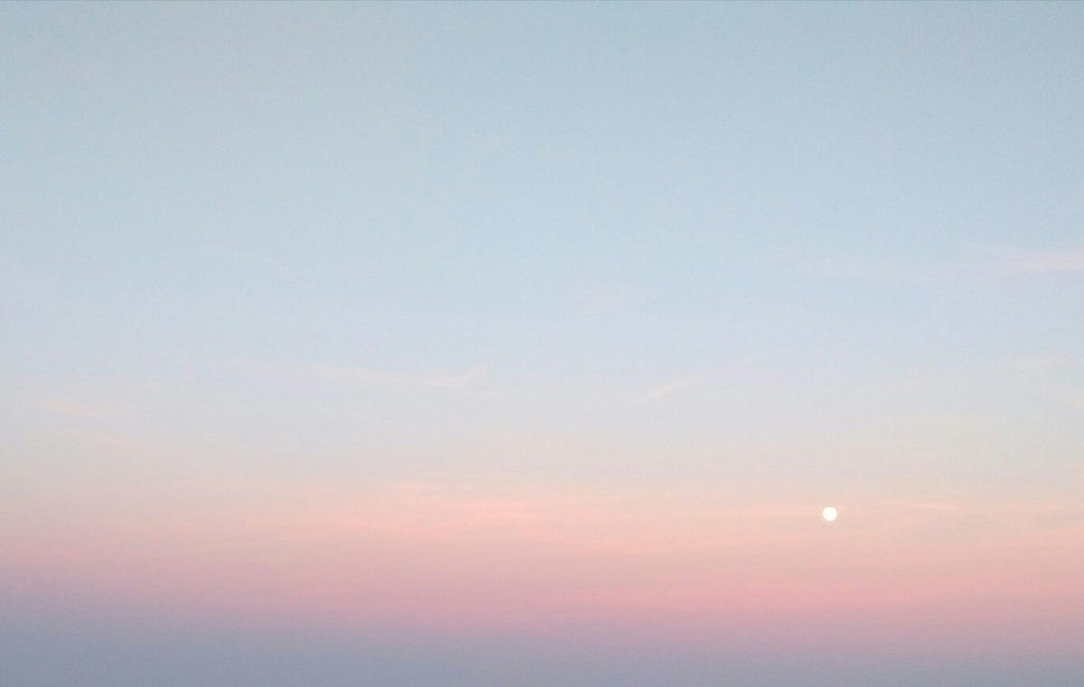 Tales from a Startup Journey: Reflections on Quadrobee | by Colby Clow | Jul, 2024 | Medium