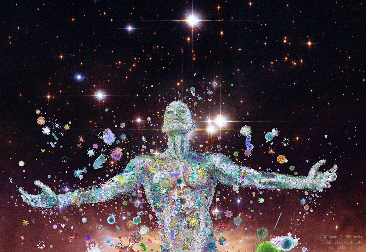 meditation: light & life. One of the most important parts of my… | by ...
