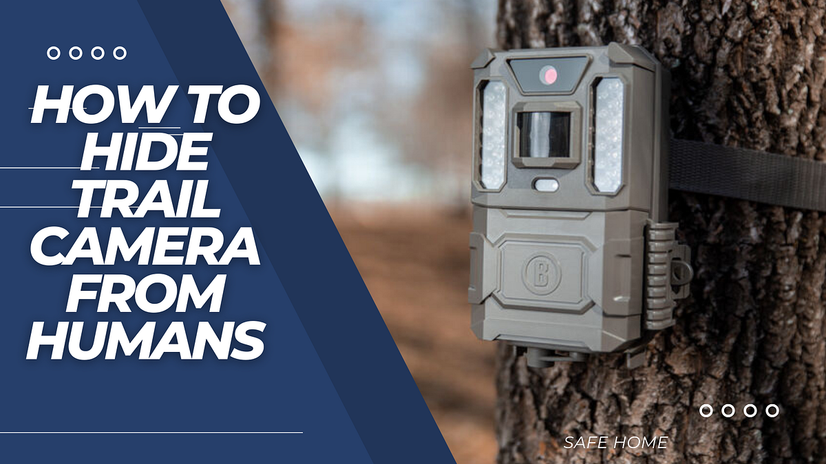 How to Hide Trail Camera From Humans | by Security Camera | Oct, 2024 ...