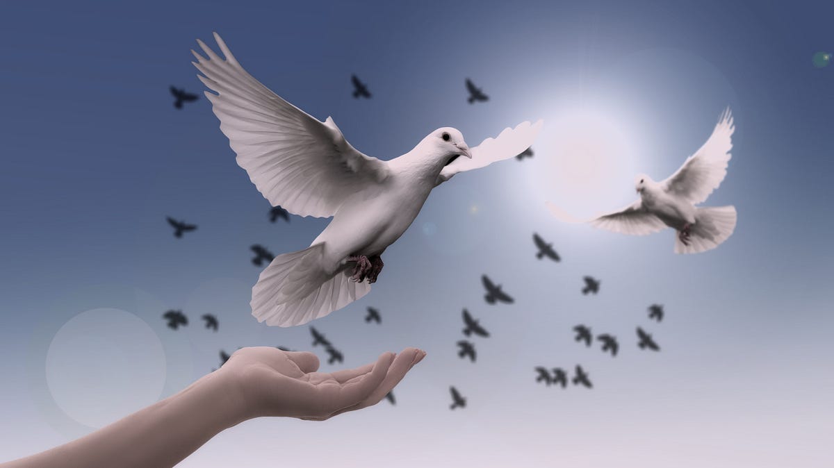 Love is the Solution to ALL the Worlds problems! | by Eliakim Lysoe ...
