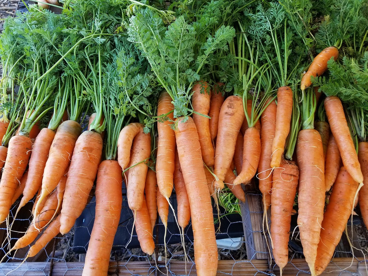 The Best Recipes to Eat More Carrots | by Julie Moreno | Easy Seasonal ...