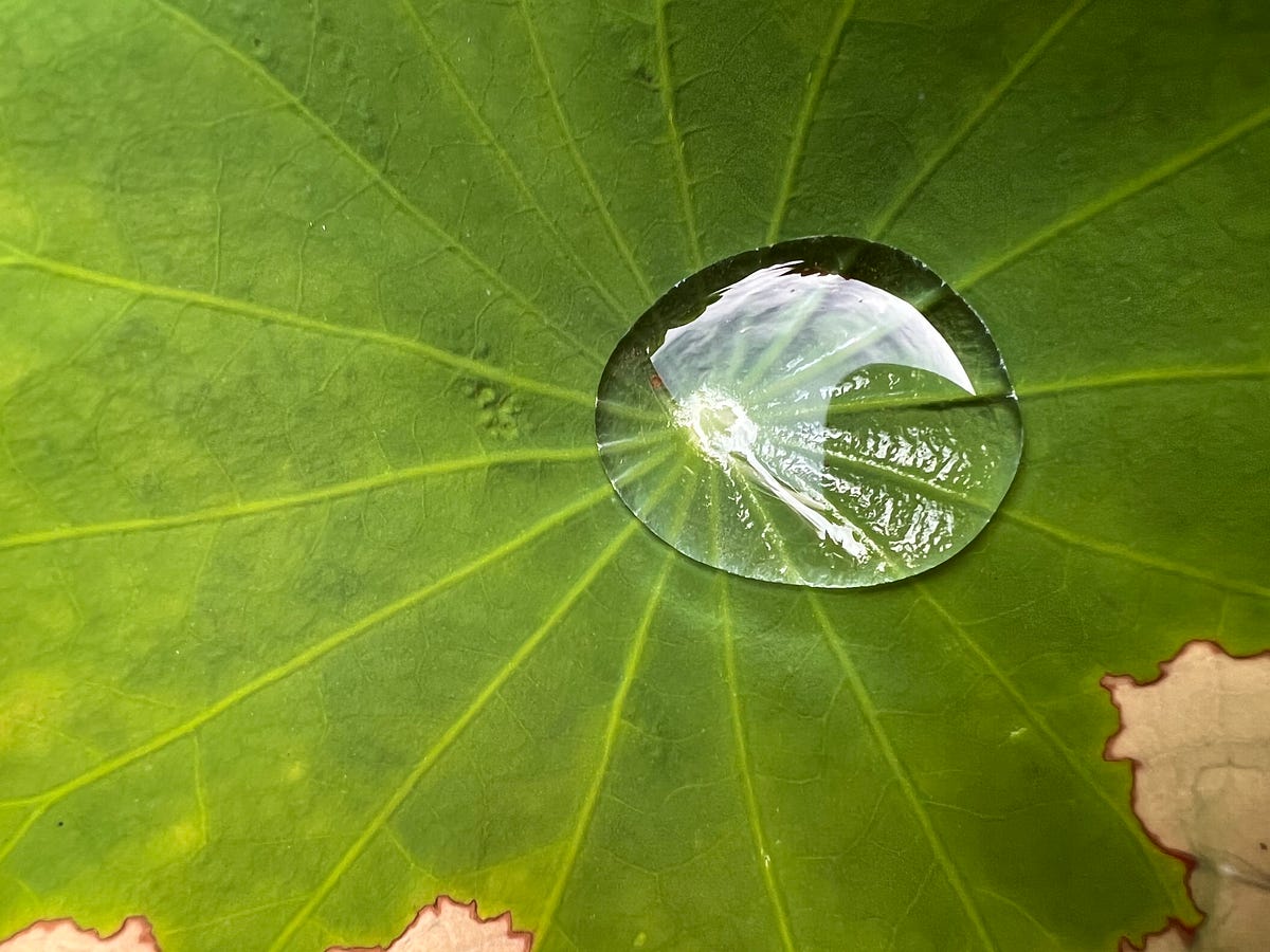 Faster Dataframe Serialization Read And Write Dataframes Up To Ten By Christopher Ariza