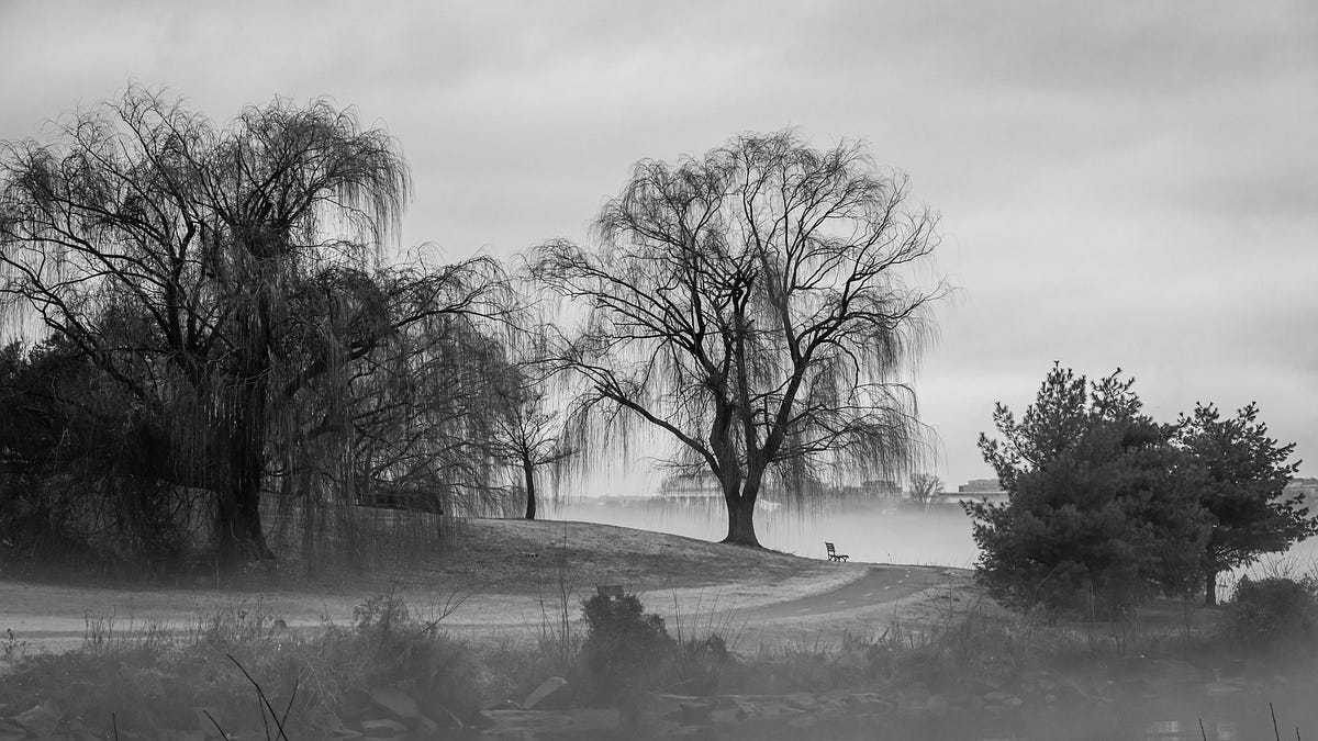 Reconstructing 2022. I decided in mid-December to set myself… | by Liz ...