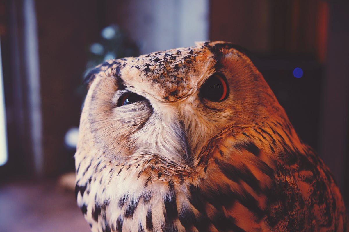 10 Curiosity Provoking Podcasts to Sneak Into Your Day | by Lucy Dan ...