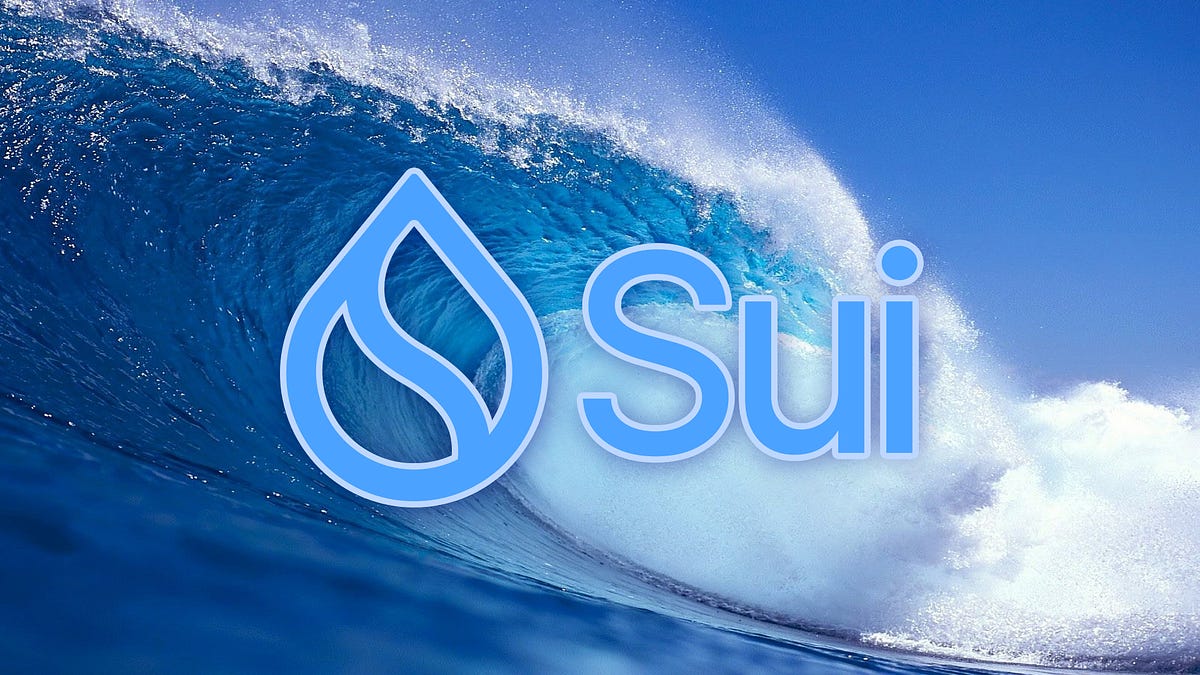 Sui Objects: An Easy Explanation. Hello, everyone! | by floating_monkey ...