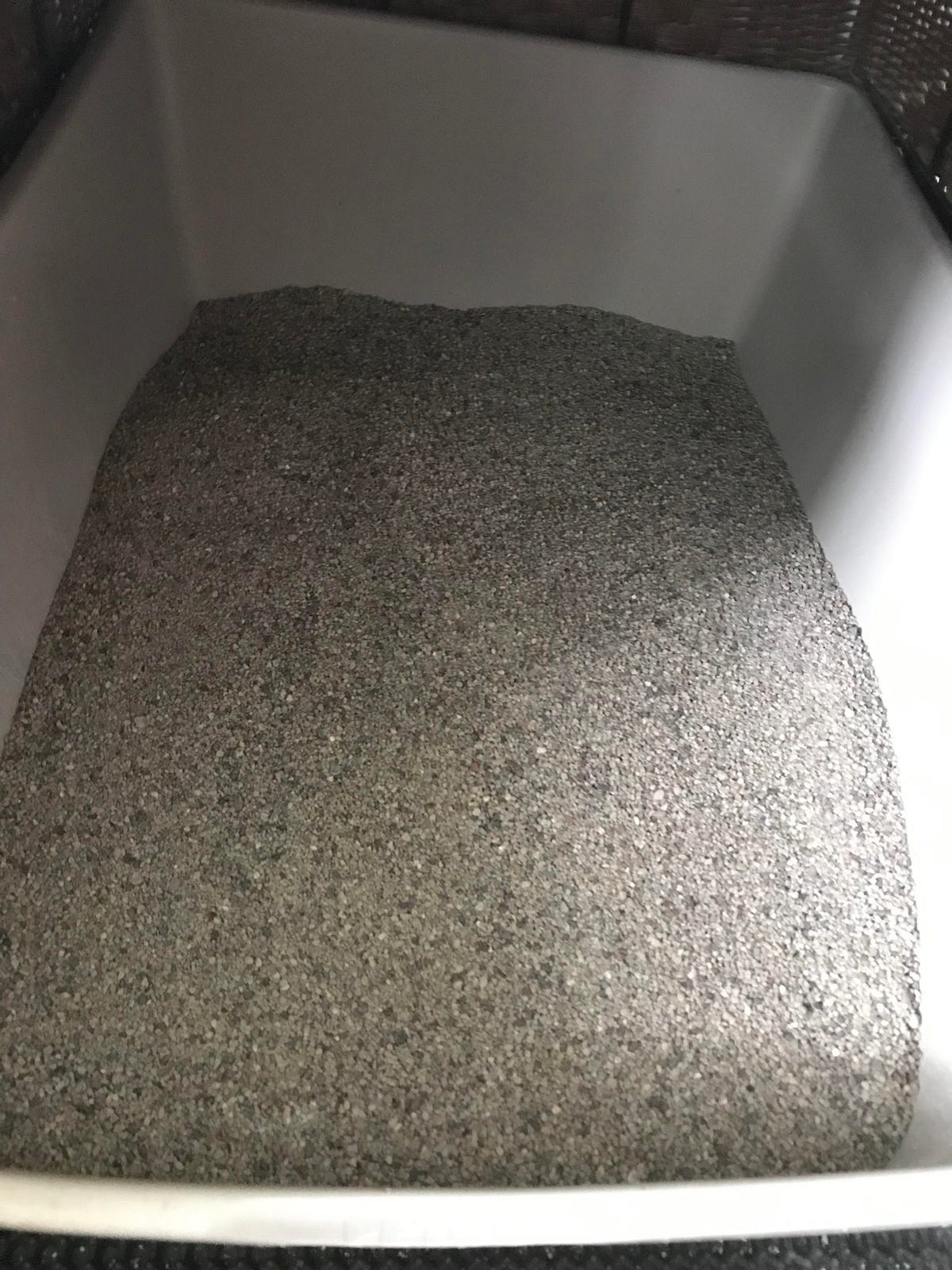Keep Kitty Litter Out Of Classrooms | by Carl J. Petersen | Dialogue ...