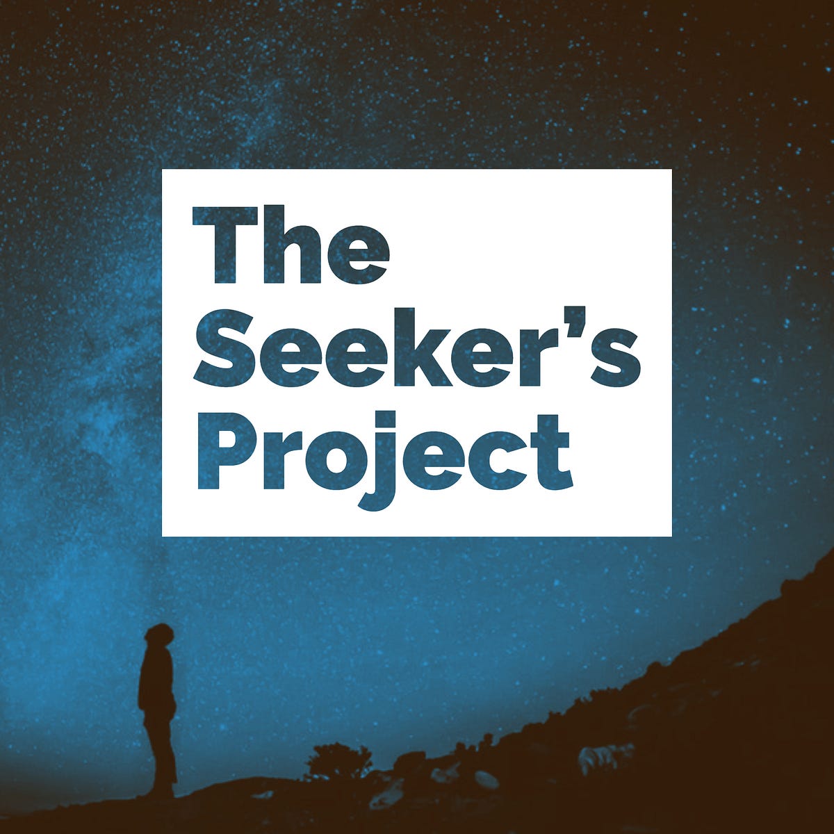 The Seeker’s Project