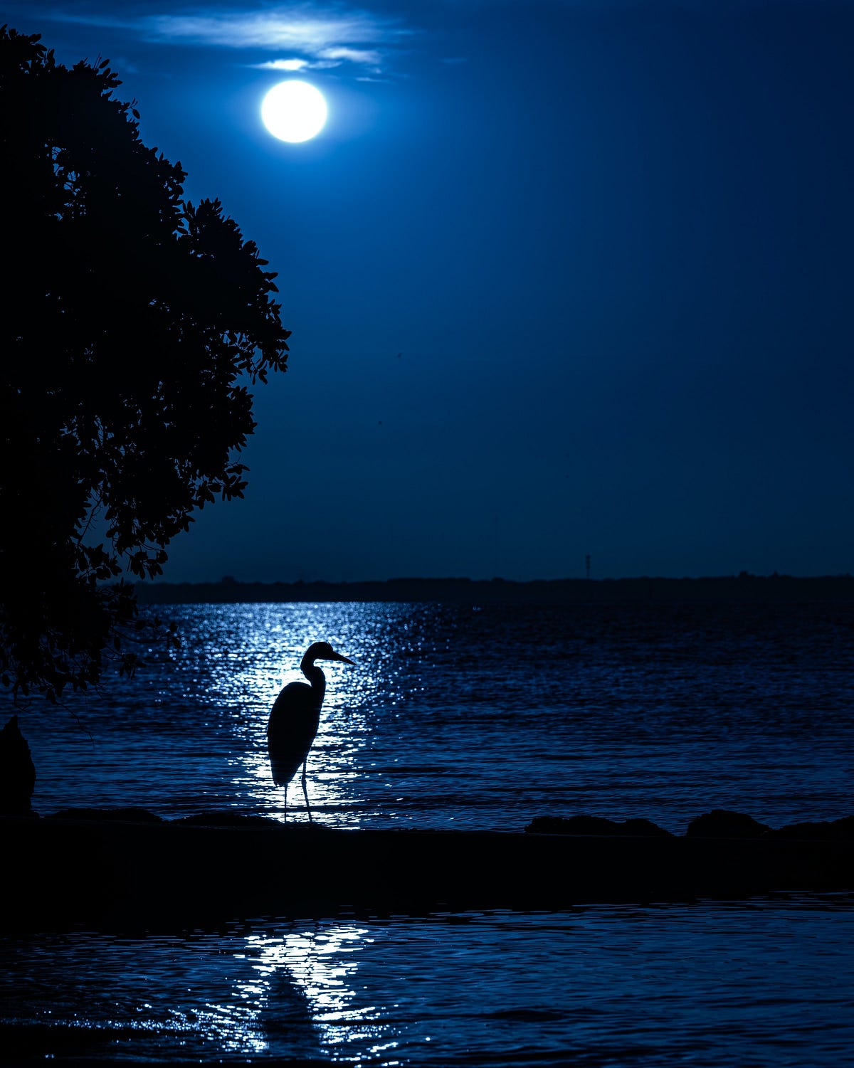 Mandatory Moon Bathing in Minnesota | by John K Adams | The Haven | Medium
