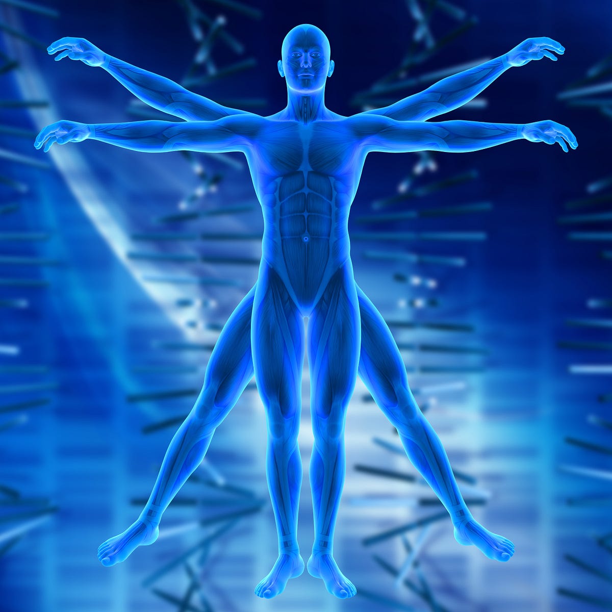 Are you aware of the wonderful human body? | by sara smith | Medium