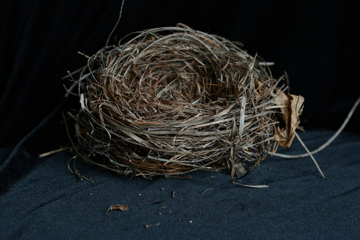 Empty Nest - Genius of Love and Loneliness - Medium