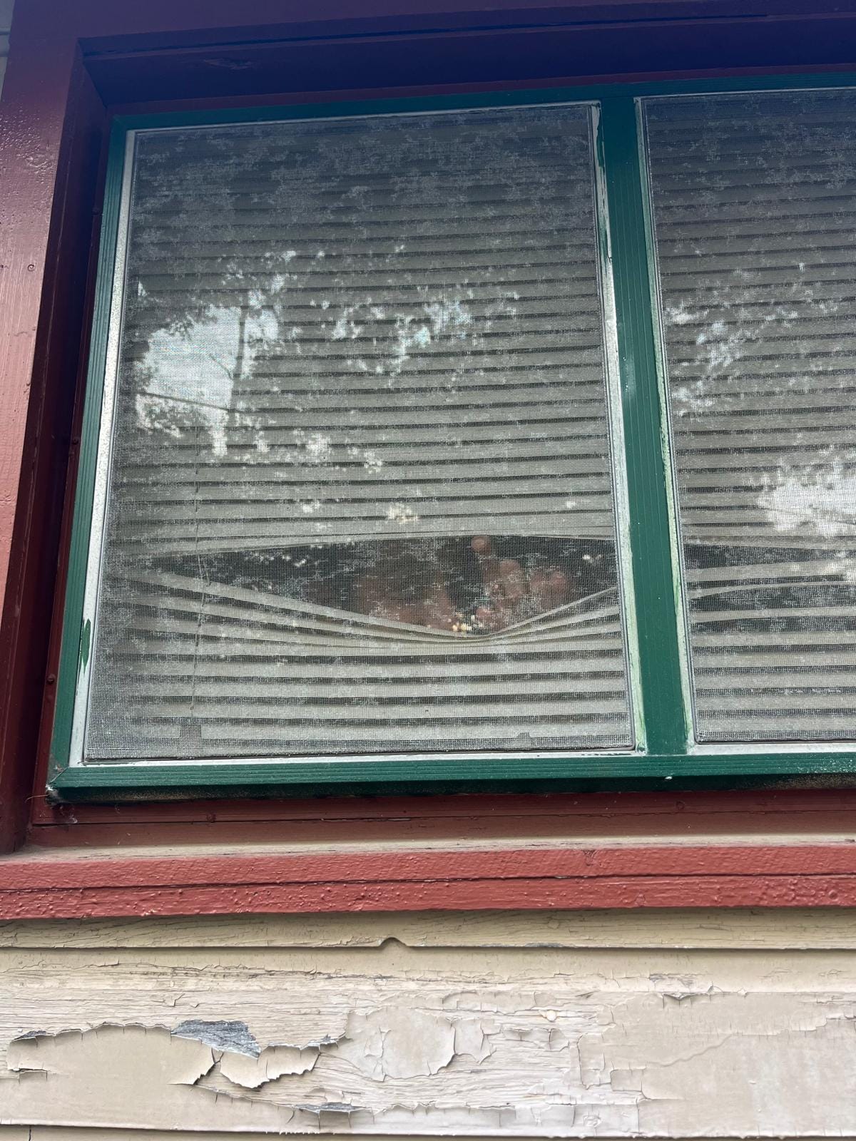 Relational Sharing - Open a Shutter, Don't Spew | Hello, Love