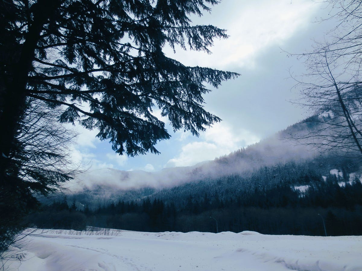 3 Reasons Micro-Mindfulness is Essential for Setting and Living Clear ...