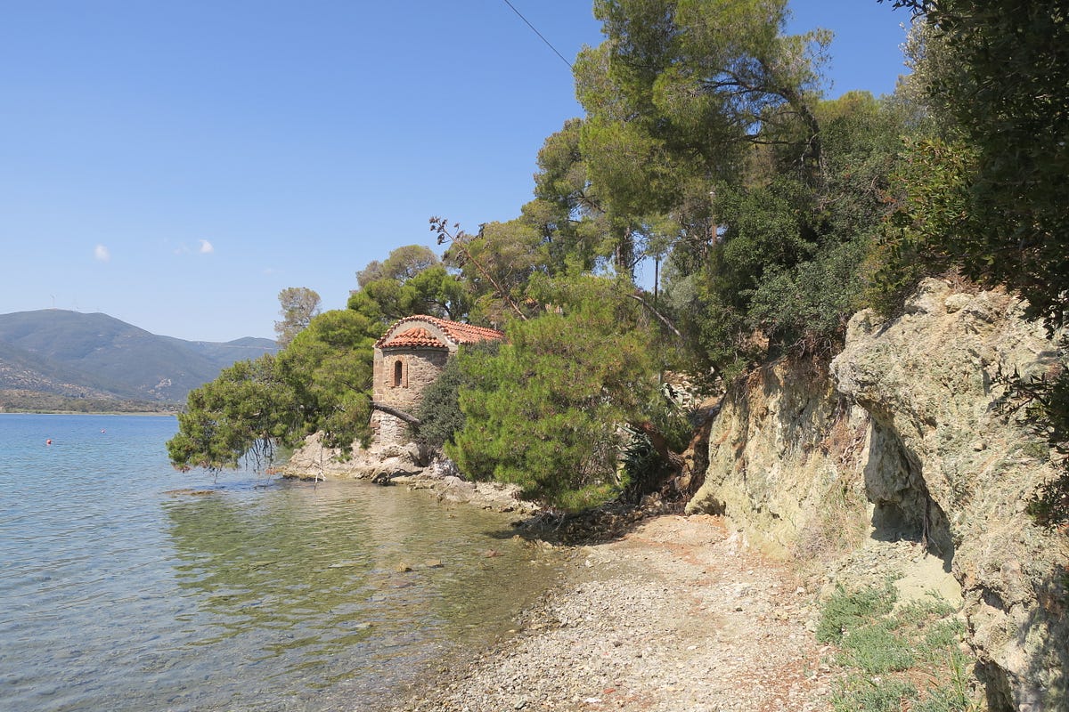 How to Control a Checkbox with React Hooks | by Cristian Salcescu | Frontend Essentials | Medium