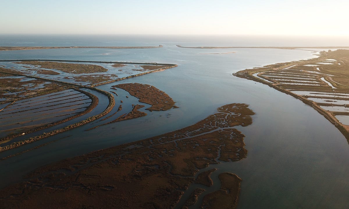 Naturally raised fish in Algarve, a sustainable alternative to ...