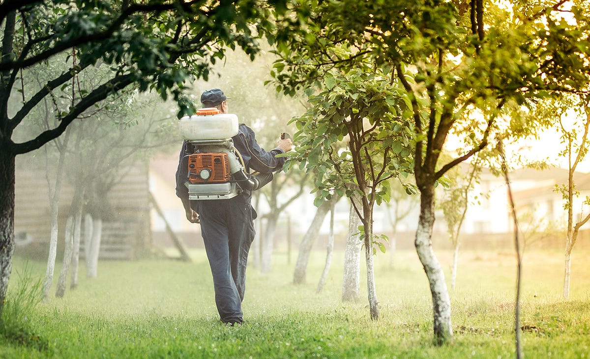 How To Keep The House Free From Germs? | by Green Pest Control | Medium