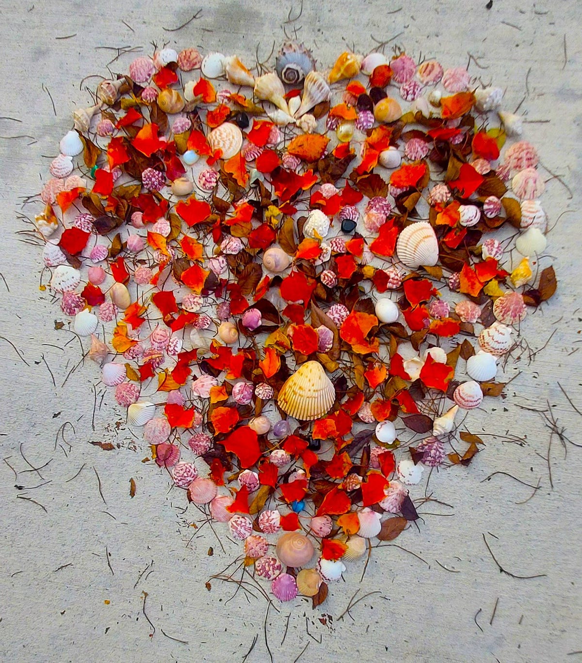 When I Allowed Hatred & Cruelty To Reach My Heart! | by Annelise Lords ...