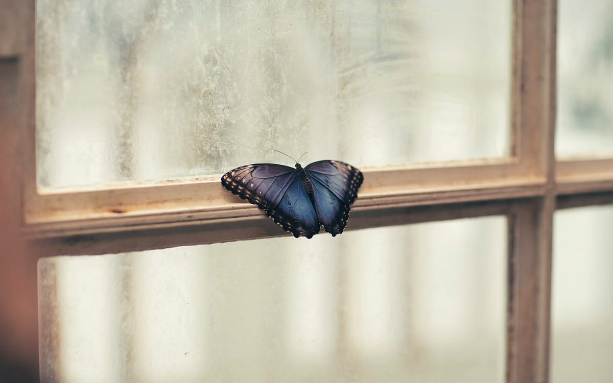 Trapped. A poem about feeling trapped | by Denise Larkin, B.A. (Hons ...