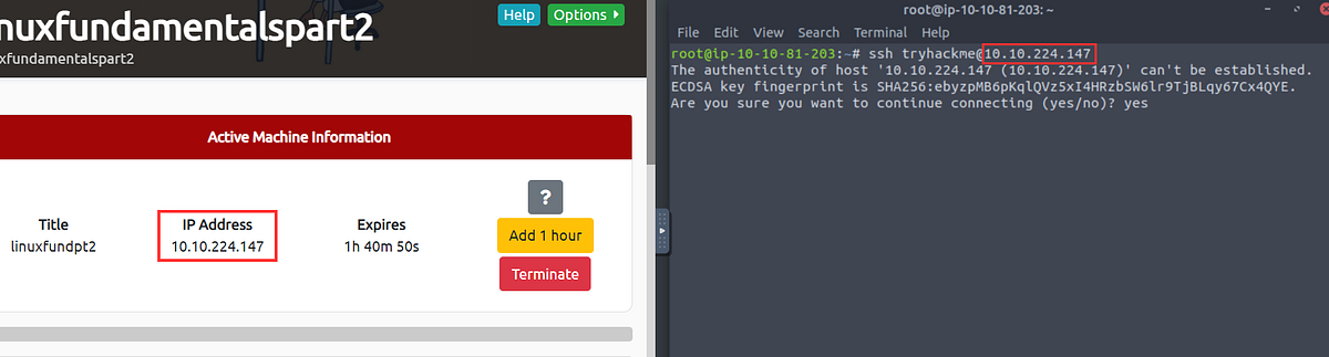 TryHackMe: Linux Fundamentals Part 2-Write Up | by Mac Leo | Medium