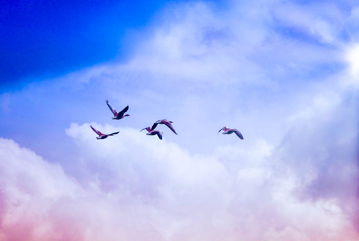 EM ALGUM MOMENTO…. Short writings | by Arte Escrita | Medium