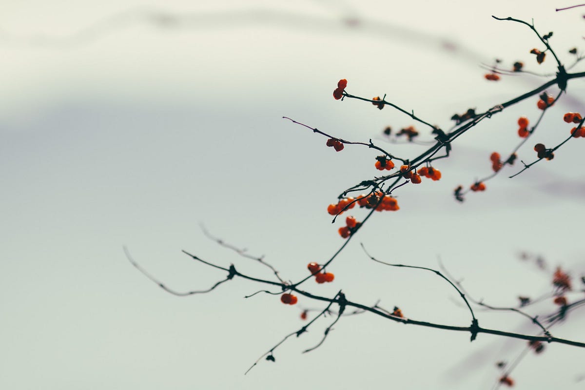 Building Restful Apis With Micronaut By Hantsy Itnext